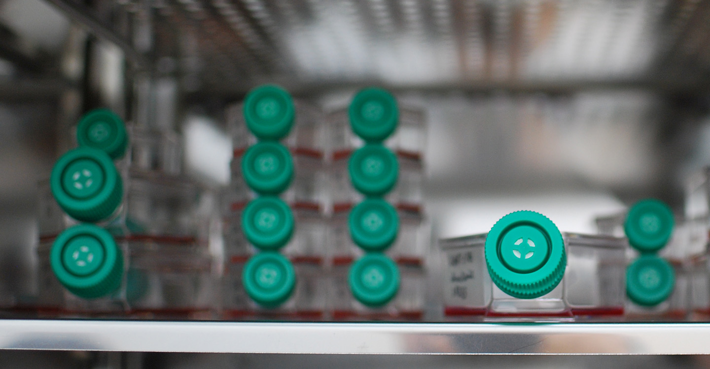 Stem Cells Get Practical